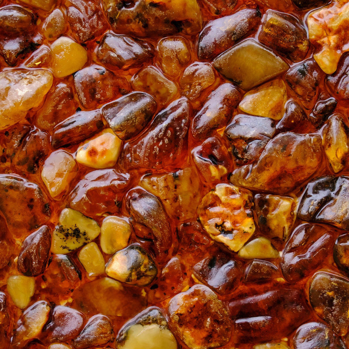 What is Amber Scent? 5 Traits to Consider When Choosing a Perfume · Al ...